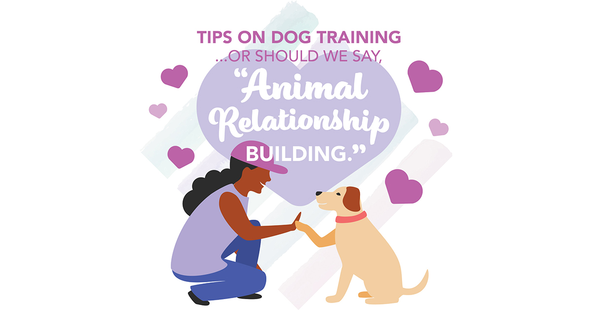 Tips on Dog Training