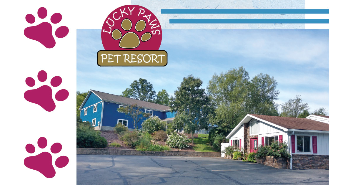 Every Pet Should Be So Lucky