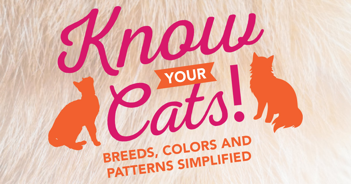 Know Your Cats! Breeds, Colors and Patterns Simplified