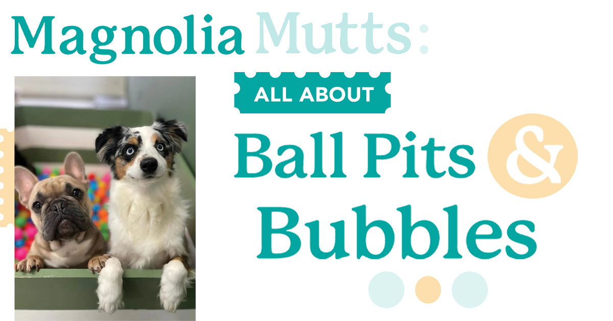Magnolia Mutts Boarding & Daycare: All About Ball Pits & Bubbles!