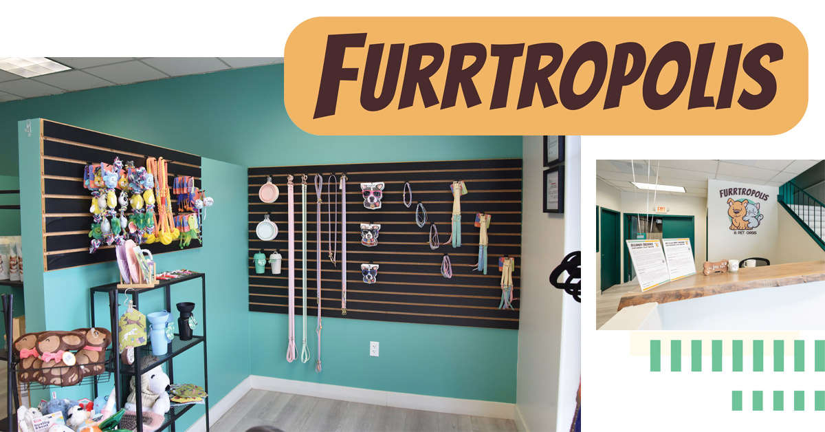 Furrtropolis: A Pet Oasis