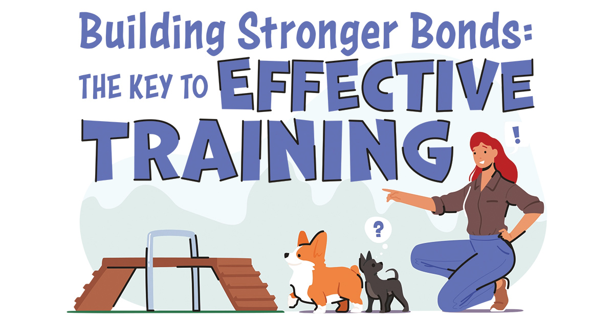 Building Stronger Bonds: The Key to Effective Training