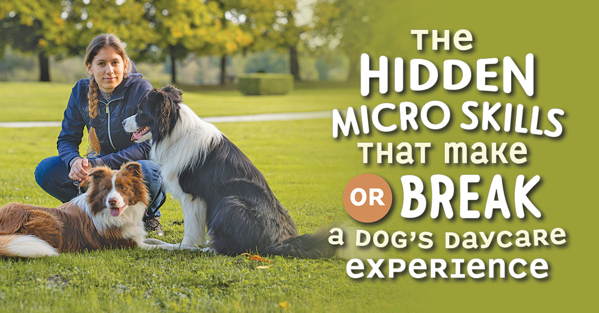 The Hidden Micro Skills That Make or Break a Dog’s Daycare Experience