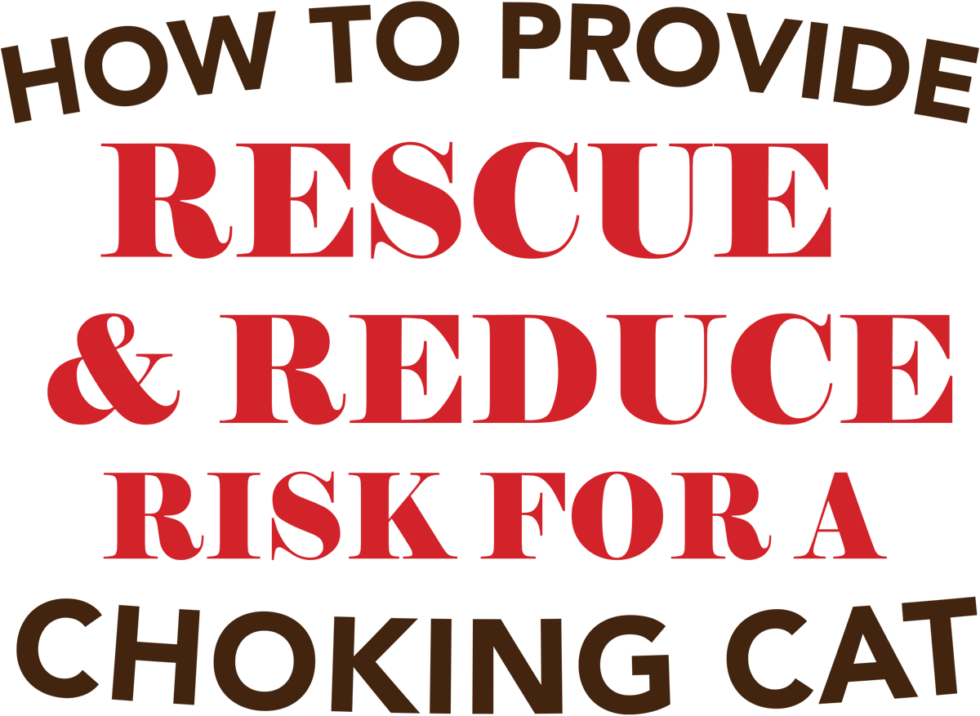 How to Provide Rescue & Reduce Risk for a Choking Cat