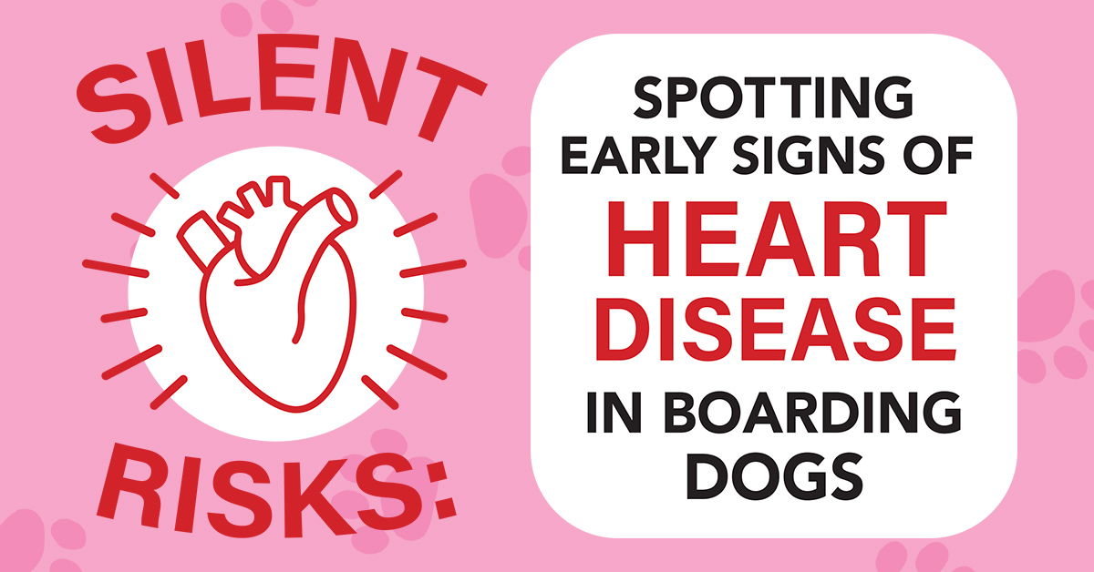 Silent Risks: Spotting Early Signs of Heart Disease in Boarding Dogs